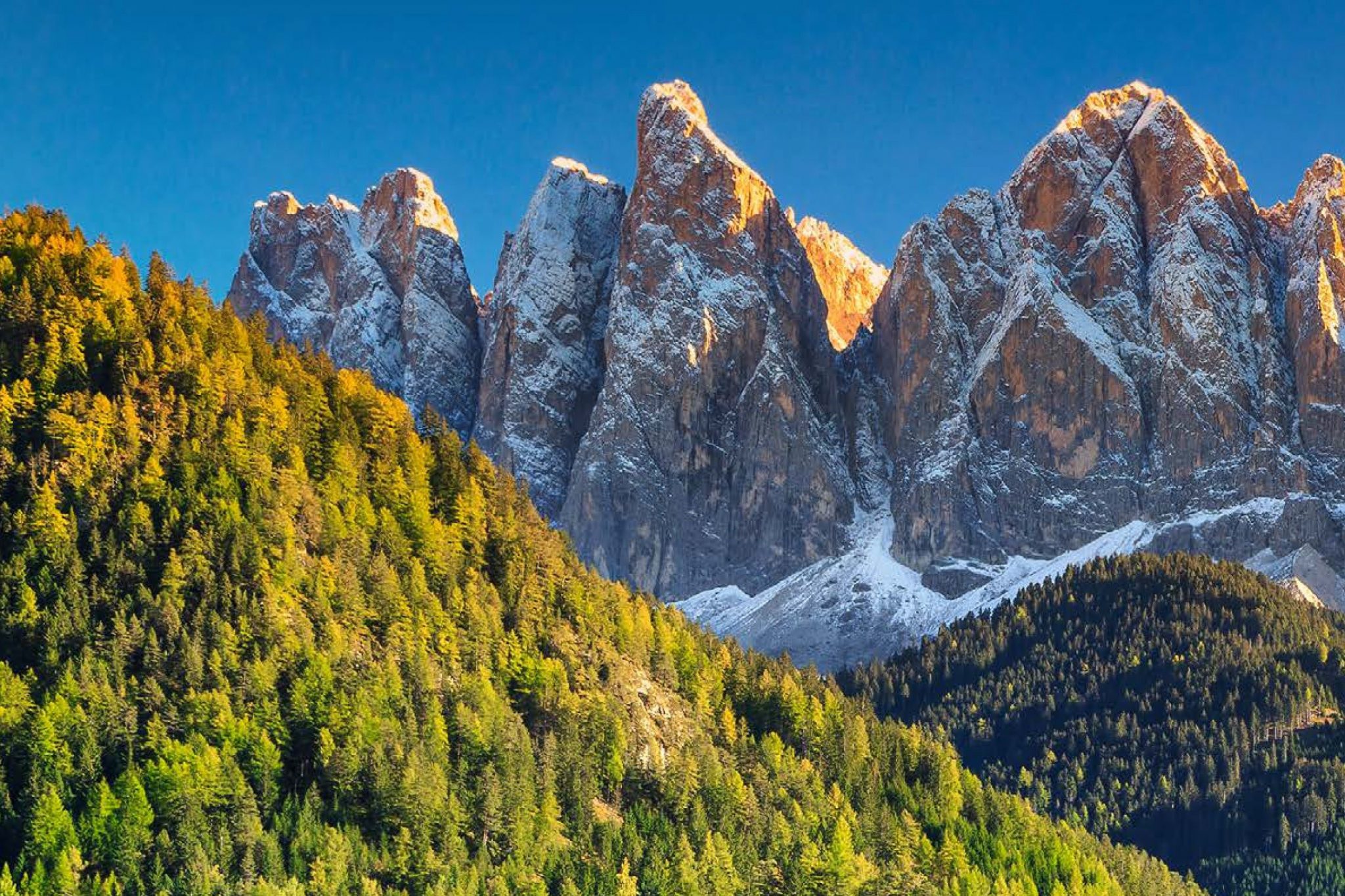 G20 Summit: Observatory for Sustainable Tourism in South Tyrol ...